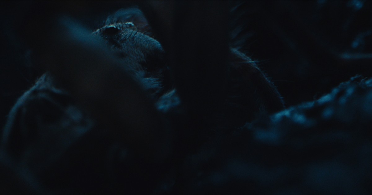 Atom & Void | Sitges Film Festival