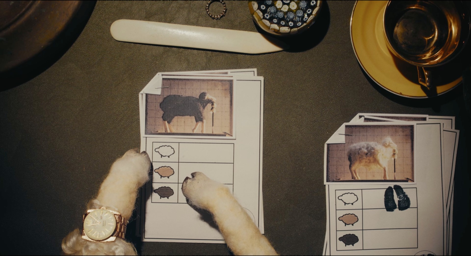 LOUIS I, KING OF SHEEP | Sitges Film Festival